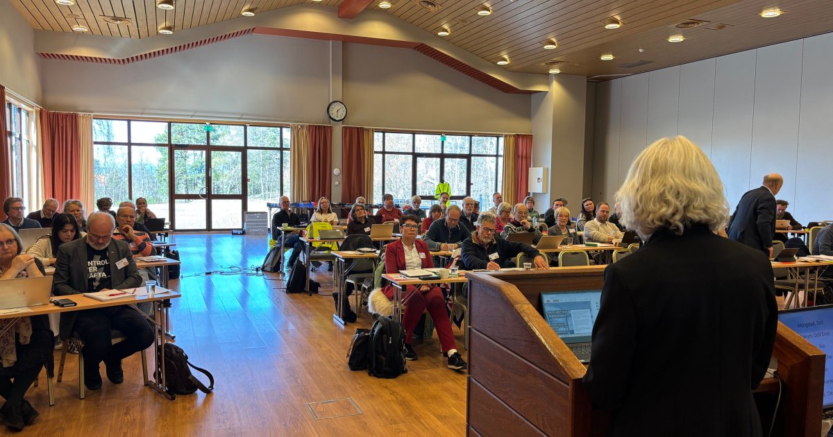 Ja til folkestyre og internasjonal solidaritet - Nei til EU